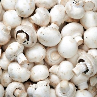 Champiñon Bolsa 1 Kg – Santiago Natural