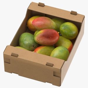 Mango Caja 4 Kg – Santiago Natural